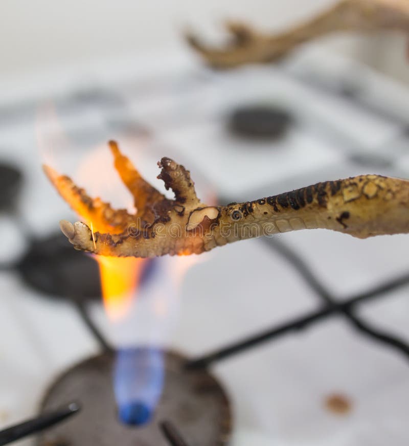 Chamuscar El Pollo En El Fuego Imagen de archivo - Imagen de barbacoa ...