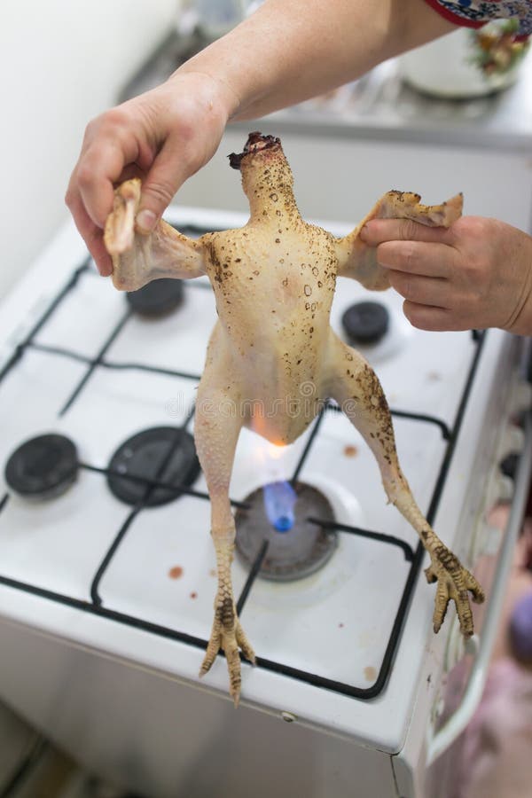 Chamuscar El Pollo En El Fuego Foto de archivo - Imagen de fuego ...