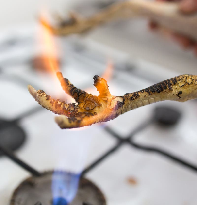 Chamuscar El Pollo En El Fuego Foto de archivo - Imagen de estufa ...