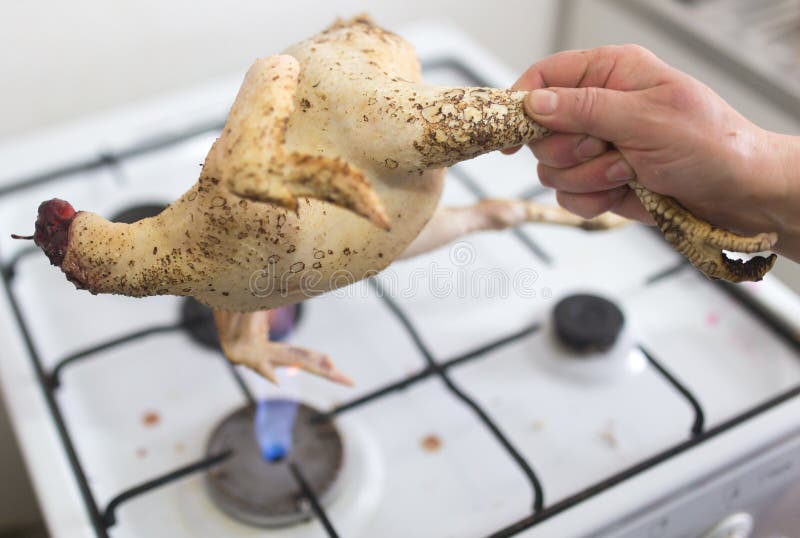 Chamuscar El Pollo En El Fuego Foto de archivo - Imagen de parrilla ...