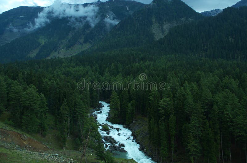 Chandanwari Landscape in Pahalgam-7 Stock Image - Image of indian, dark ...