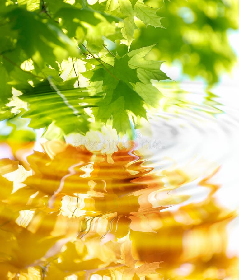 The change of seasons stock photo. Image of concentric - 20280818