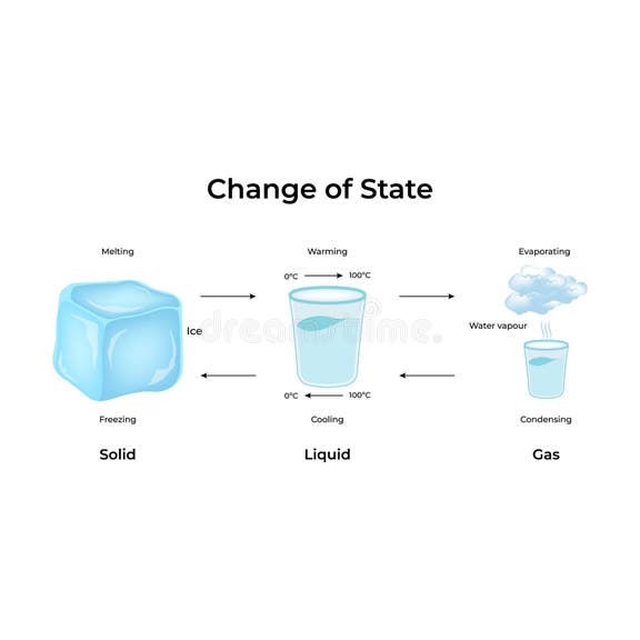 Physical Chemical Change Stock Illustrations – 819 Physical Chemical ...