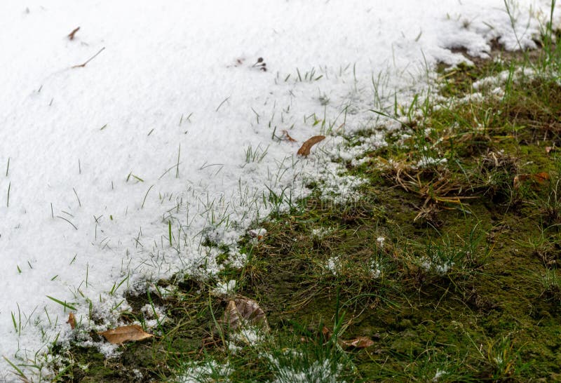 Change or Transition from Winter To Spring Stock Photo - Image of cold ...