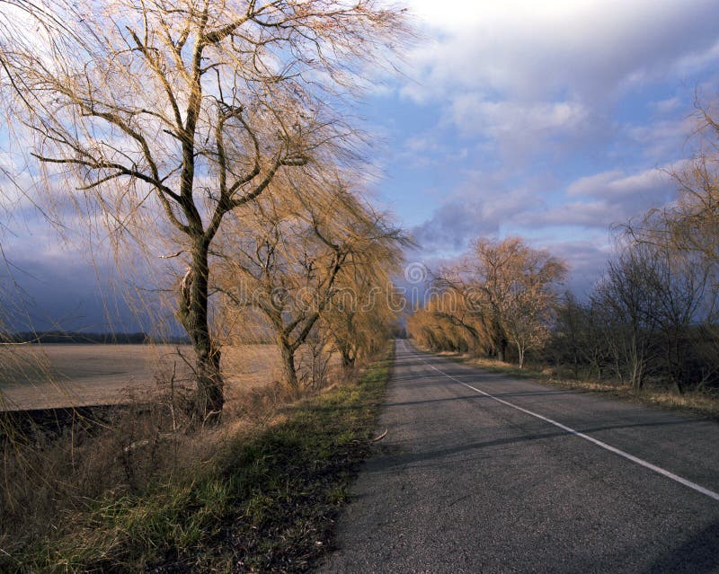 Change in the weather stock photo. Image of scan, season - 30462278