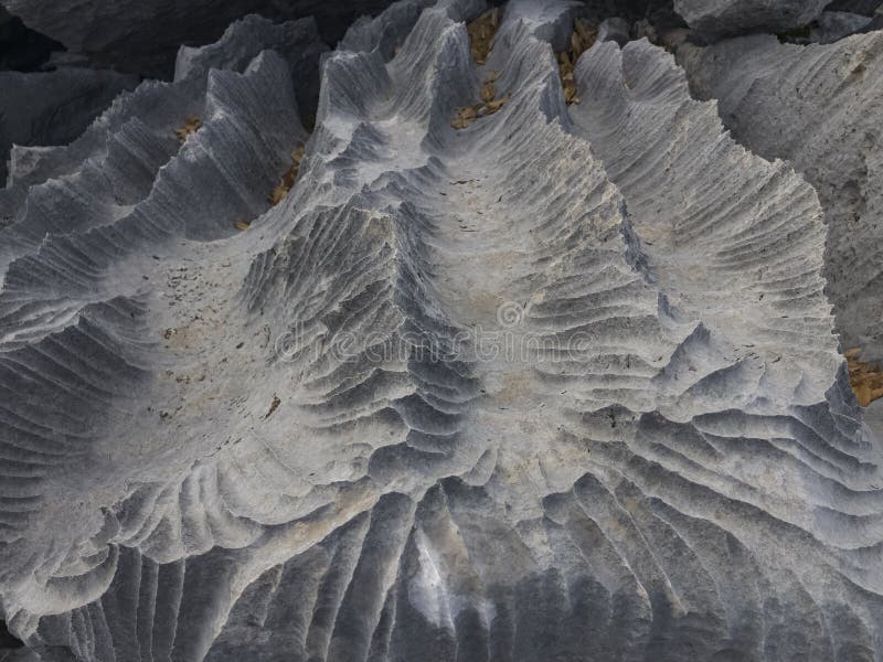 Changes, Sharpness, Formations, Crevices, Corrugated and Sharp ...