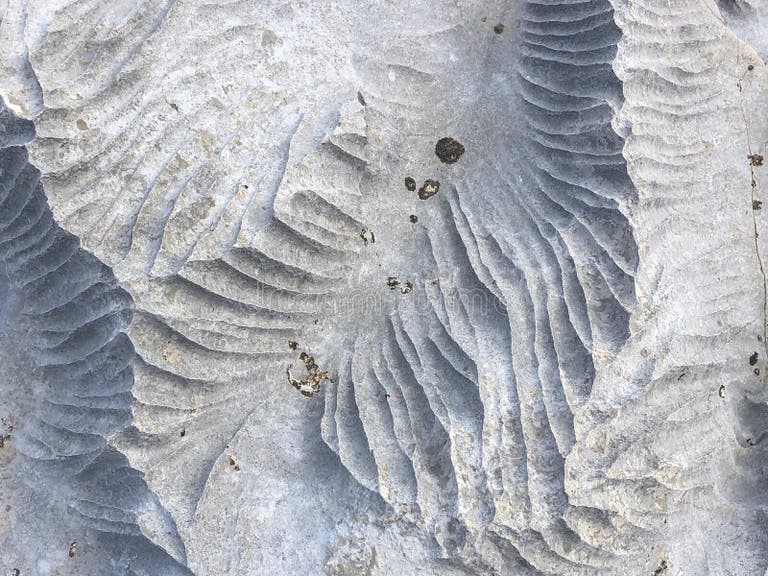 Changes, Sharpness, Formations, Crevices, Corrugated and Sharp ...