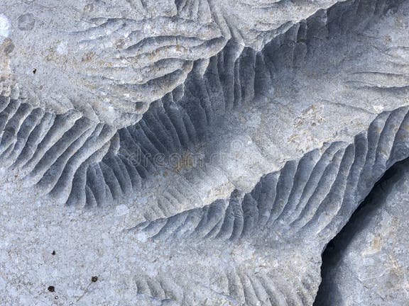 Changes, Sharpness, Formations, Crevices, Corrugated and Sharp ...