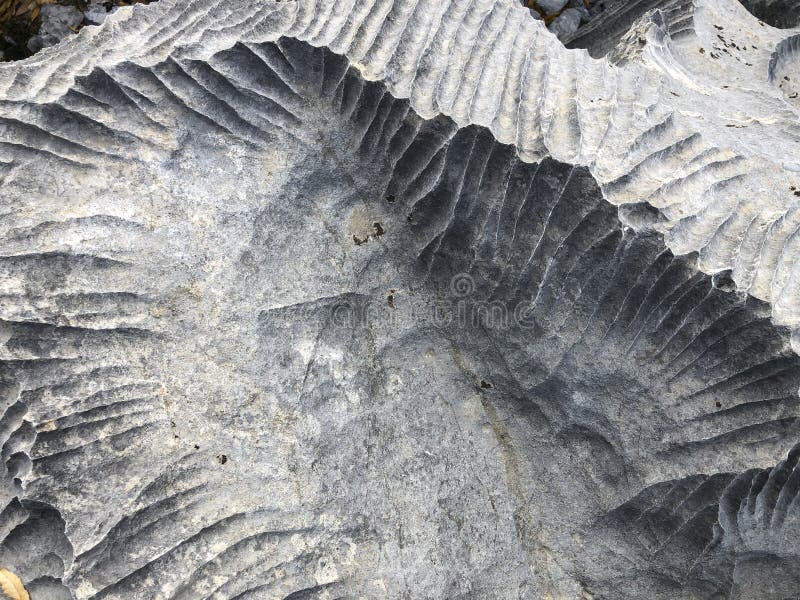 Changes, Sharpness, Formations, Crevices, Corrugated and Sharp ...