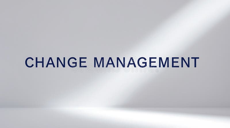 Exploring Change Management Strategies in a Professional Environment ...