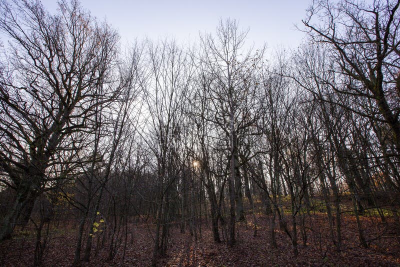 Changes in Nature during the Autumn Season Stock Image - Image of ...