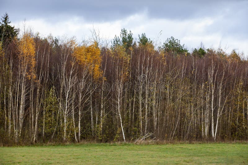 Changes in Nature during the Autumn Season Stock Photo - Image of ...