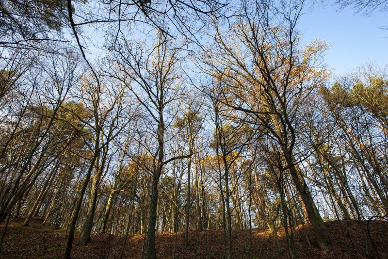 Changes in Nature during the Autumn Season Stock Photo - Image of ...