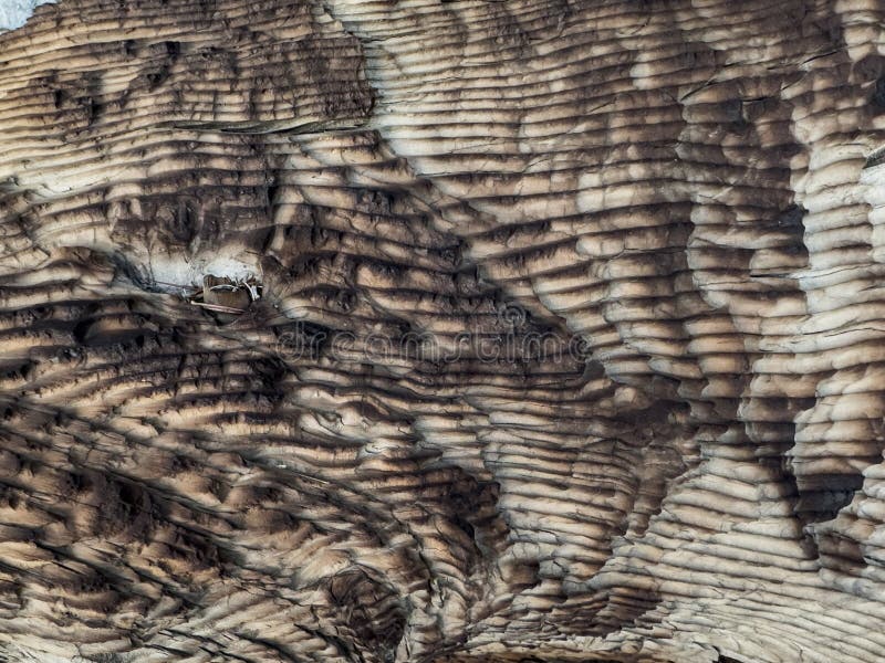 Changes and Patterns in the Tree that Occur As a Result of a Lightning ...