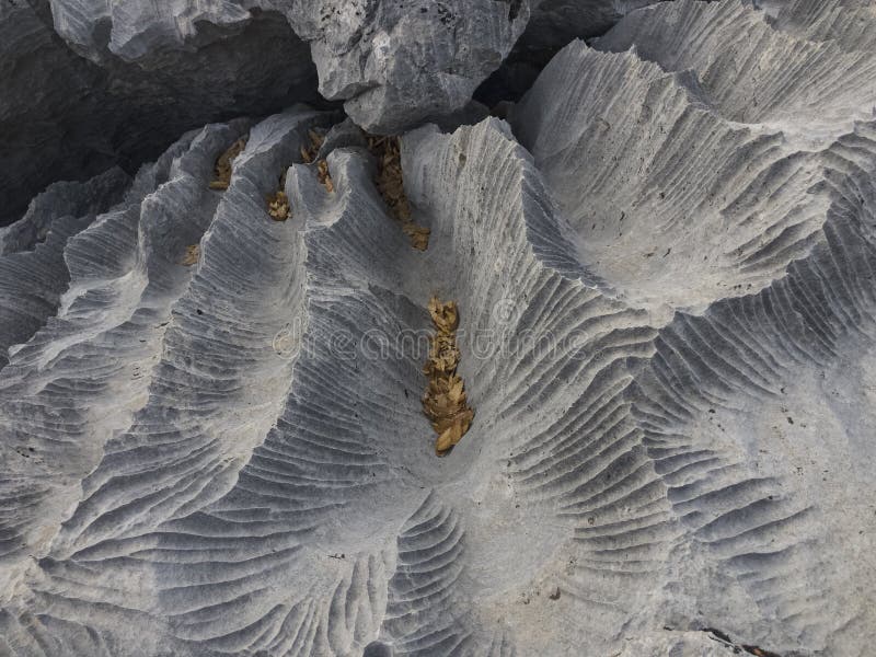 Changes, Sharpness, Formations, Crevices, Corrugated and Sharp ...