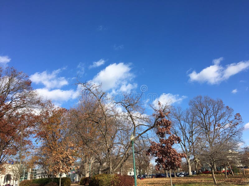 The Changing Colors of Fall Foliage Stock Photo - Image of outdoors ...