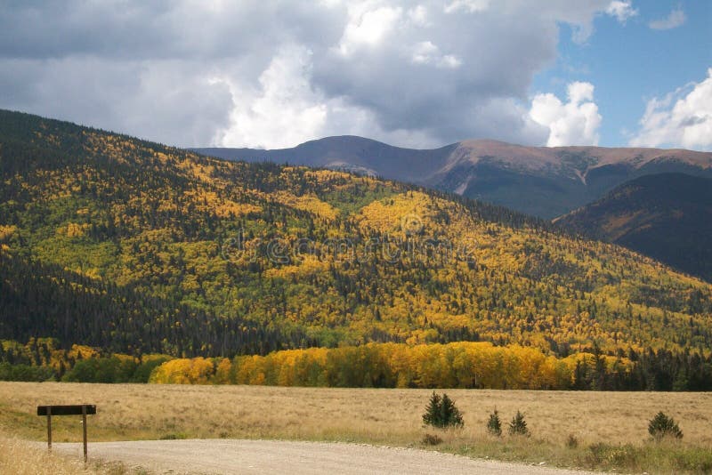 Changing of the leaves. stock photo. Image of cloudy - 49893146