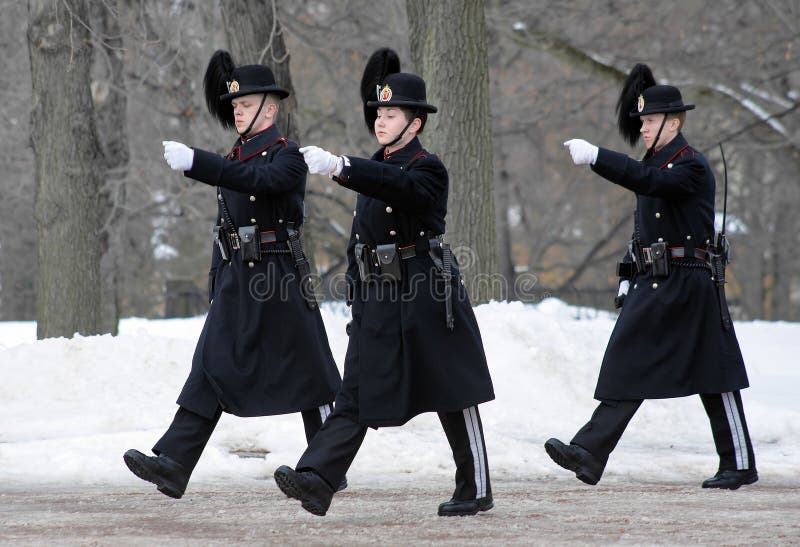 Police editorial photo. Image of preserve, winter, guard - 86228036