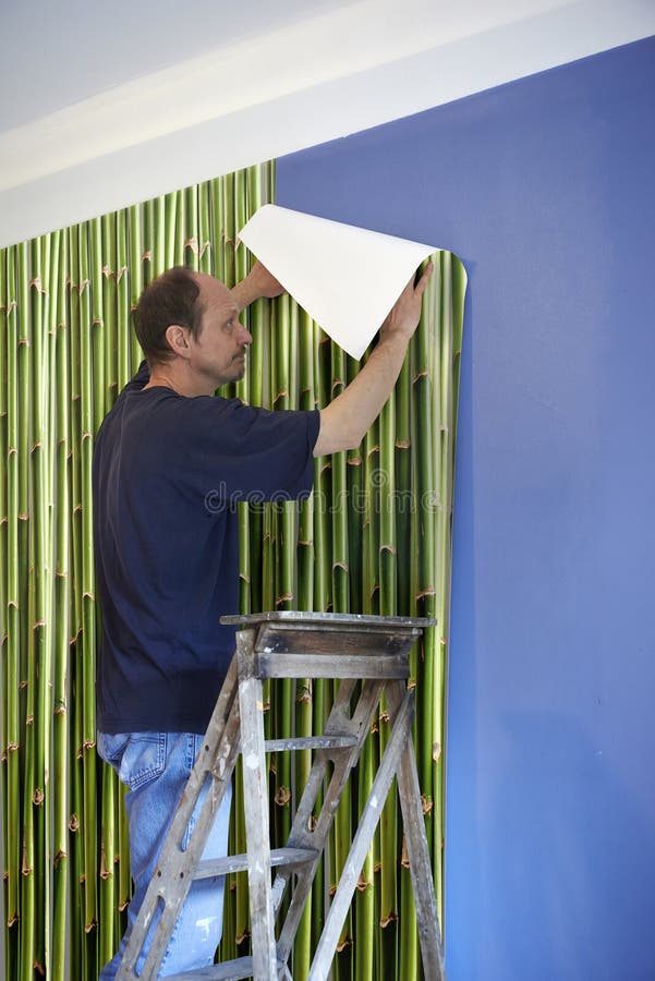 Changing Scenery Bamboo Background Stock Photos - Free & Royalty-Free ...