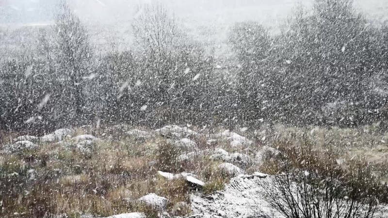 Changing Seasons Transition from Winter To Spring or Summer. Stock ...