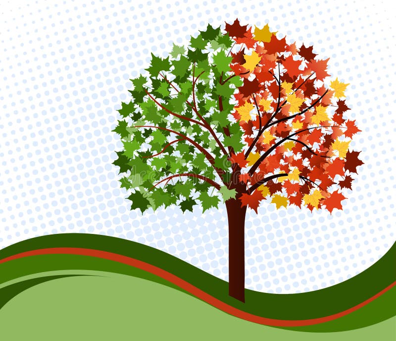 Changing seasons tree stock vector. Illustration of autumn - 32930904