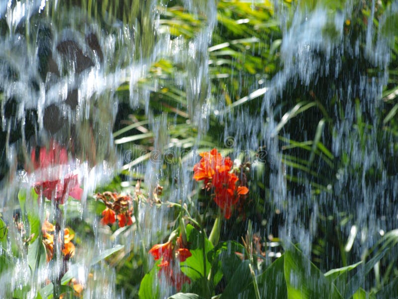 A Tropical Garden Changes with Waterfall Flow Stock Photo - Image of ...