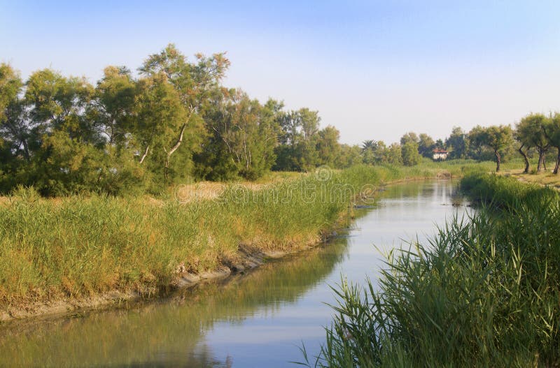 Channel stock photo. Image of ecology, still, flowers - 15625412