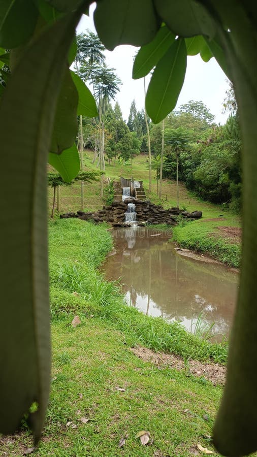 The Channel Forms a Waterfall Stock Image - Image of pond, stream ...