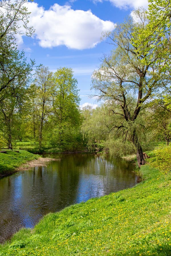 Channel and Park with Old Trees. Blue Sky with White Clouds Stock Photo ...
