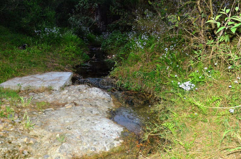 Channel of River Beas Himachal Pradesh India Stock Image - Image of ...