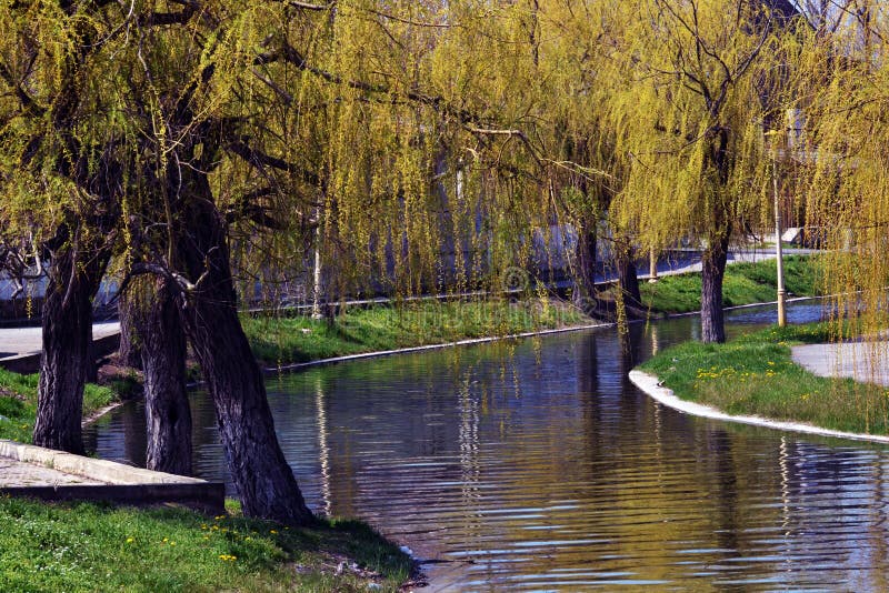 Channel stock photo. Image of channel, lakes, reflection - 53586488