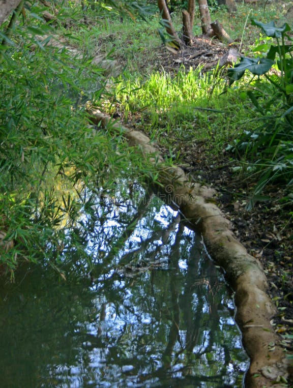 Channeled water stream stock photo. Image of light, environment - 101819198