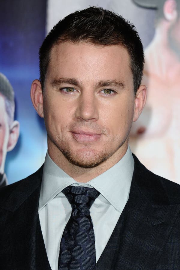 Sally Field editorial stock image. Image of arrives, february - 20484269