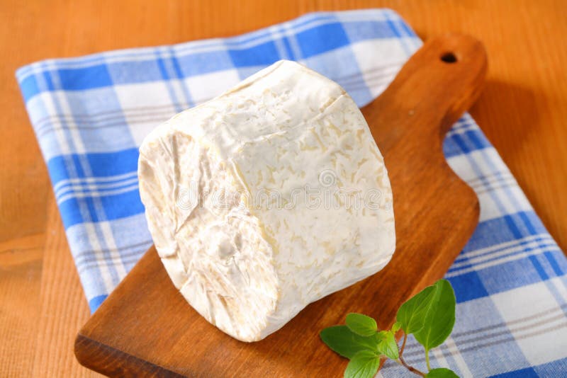 Chaource cheese stock photo. Image of french, rind, appetizer - 56805534