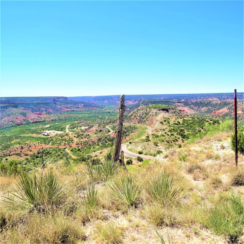 Chaparral, Ecosystem, Wilderness, Ridge Picture. Image: 113372519