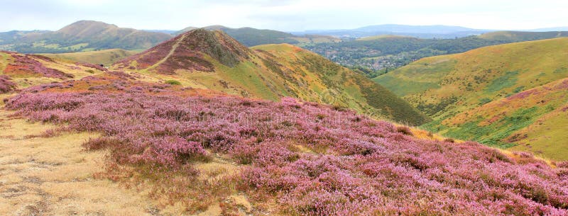 Chaparral, Vegetation, Ecosystem, Wilderness Picture. Image: 130563111