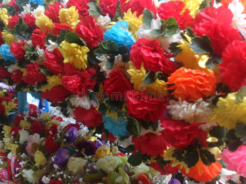 Chaplet Flower stock image. Image of female, color, beautiful - 43178029