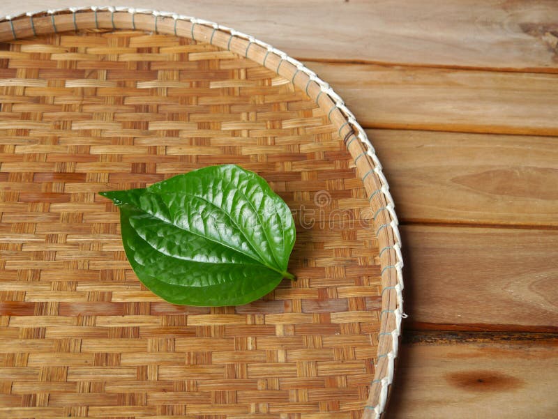 Chaplu leaf stock photo. Image of life, food, nature - 74721048