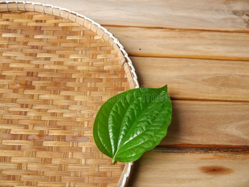 Chaplu leaf stock photo. Image of life, food, nature - 74721048