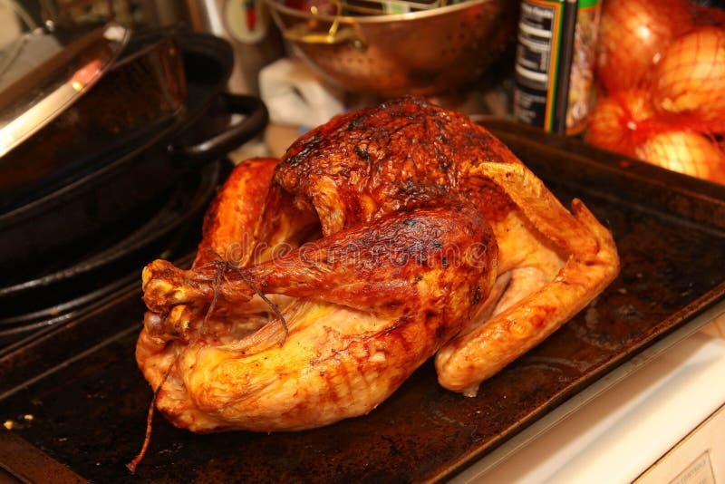 547 Chapon Photos libres de droits et gratuites de Dreamstime