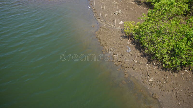 Chapora river, Goa stock image. Image of river, beautiful - 87522805