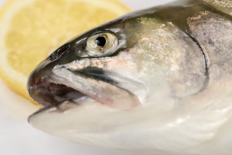 Fresh Char Fish with Herbs, Spices and Ingredients for Tasty Cooking on ...