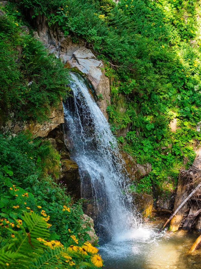 Chara Waterfall on the Southern Slope of Rosa Peak in Sochi Stock Image ...