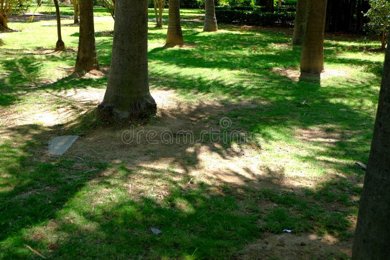 Shadow under sunshine stock image. Image of sunbeam - 124905973