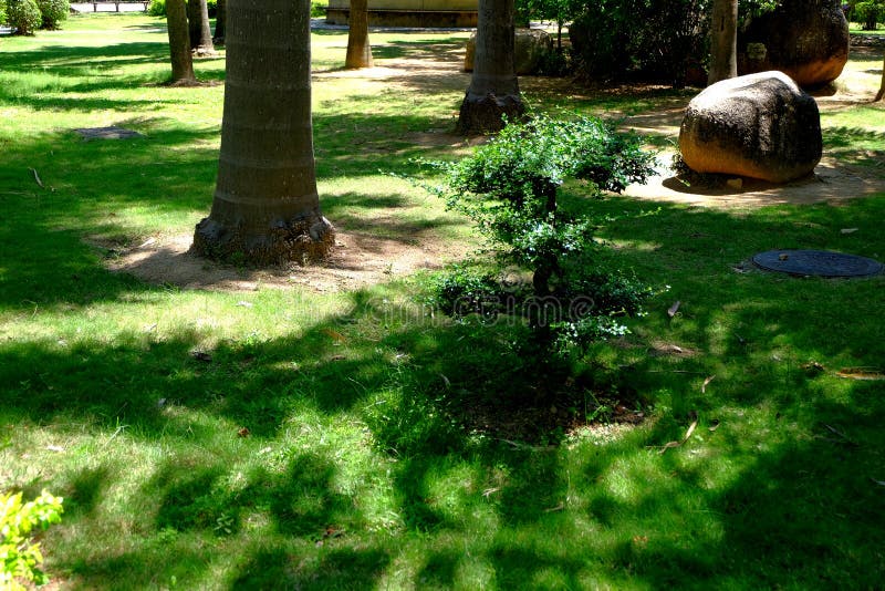 Shadow under sunshine stock photo. Image of sunlight - 124905862