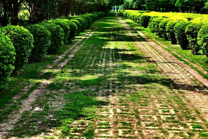 Shadow under sunshine stock photo. Image of life, shinelight - 124905990