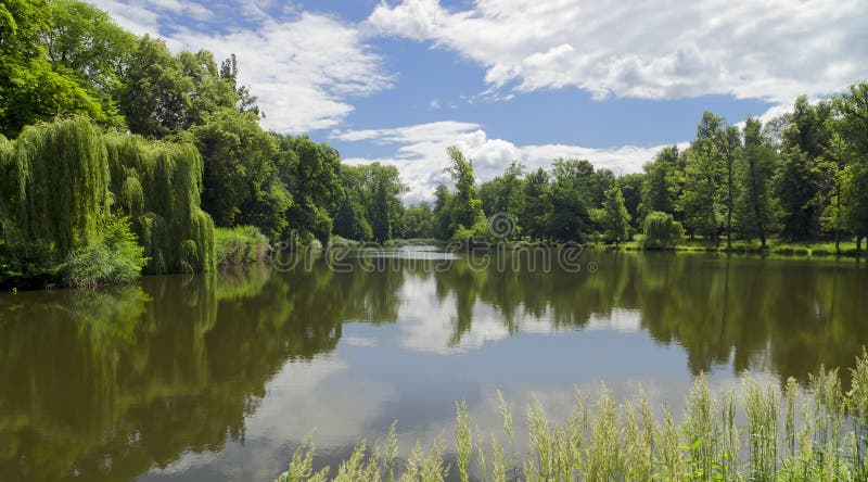Charca foto de archivo. Imagen de exterior, cubo, verde - 20026786