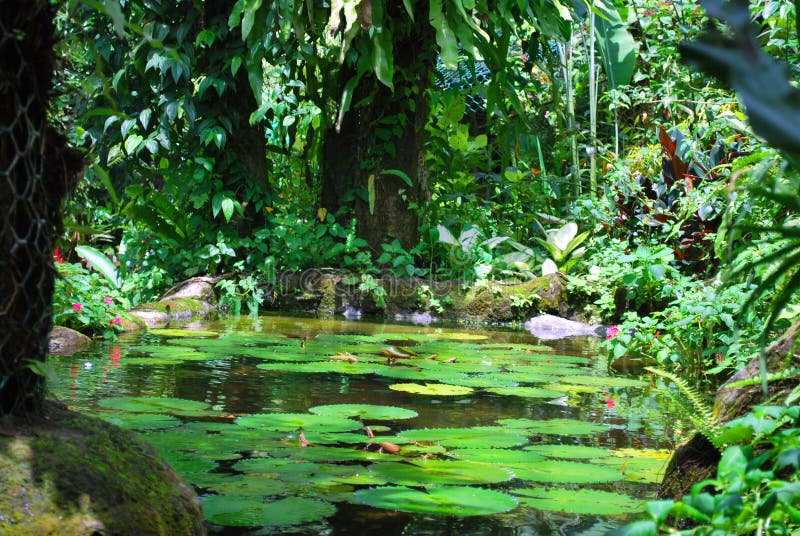 Charca foto de archivo. Imagen de lapso, hierba, paisajismo - 8545372