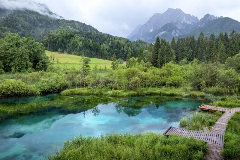 Charca De Zelenci Cerca De Kranjska Gora, Eslovenia Imagen de archivo ... Charca De Zelenci Cerca De Kranjska Gora, Eslovenia Imagen de archivo ...