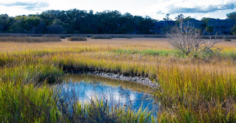 Charca Del Agua Salada En Pantano Imagen de archivo - Imagen de salino ...